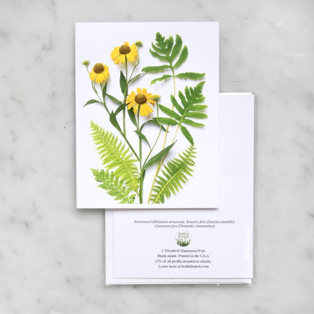 Ferns & Helenium Card | Bottle Branch | Handmade Greeting Cards – beryl
