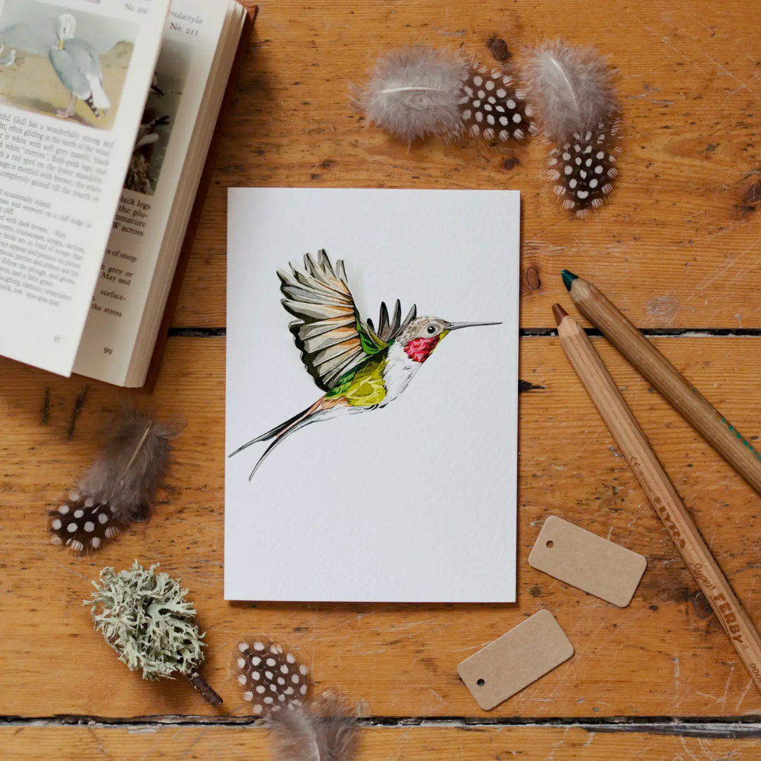 Hummingbird Pop Out Card | Sophie Brabbins | Stationary | Note Cards ...
