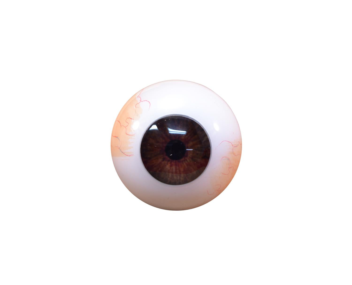 Tech Optics | Eyeball Keychain | Handmade Acrylic Eyeball Keychains – beryl