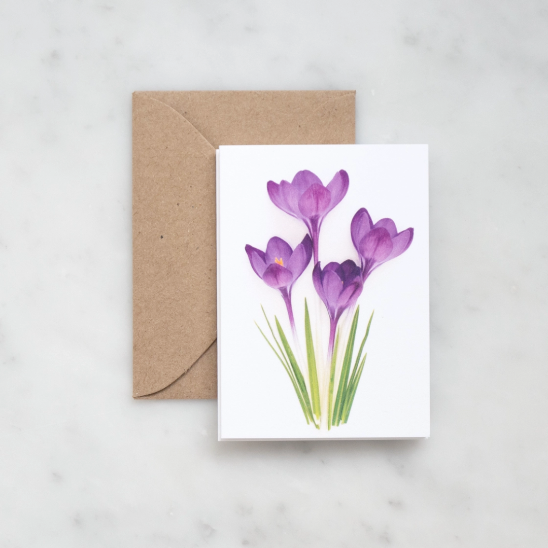 Crocus Gift Enclosure Card | Bottle Branch | Botanical Cards | Note ...