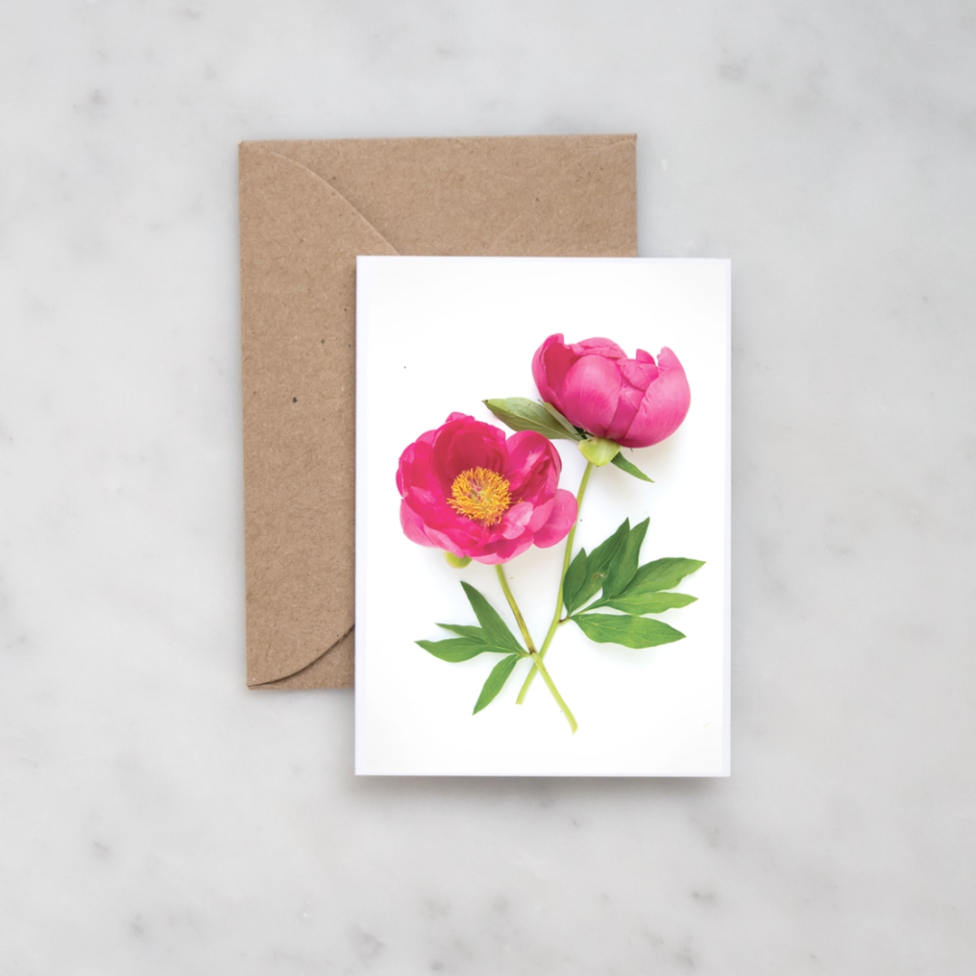 Double Peony Gift Enclosure Card | Bottle Branch | Botanical Cards ...