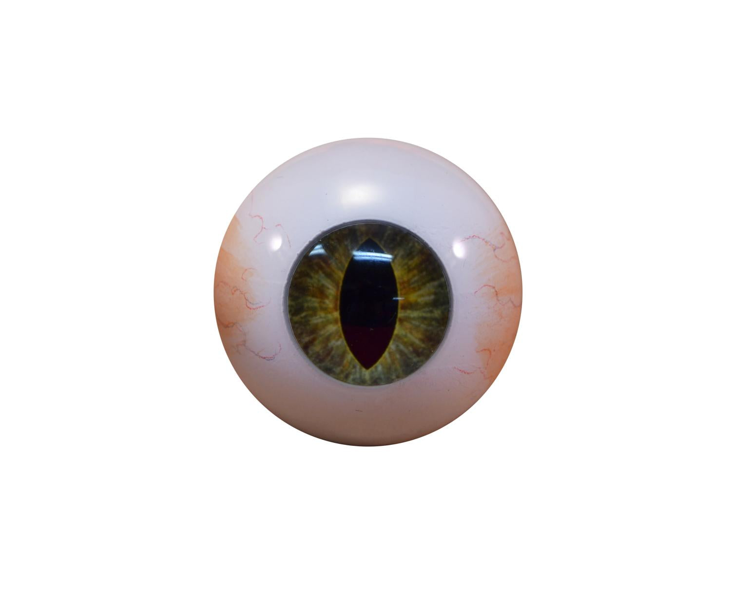 Tech Optics | Eyeball Keychain | Handmade Acrylic Eyeball Keychains – beryl