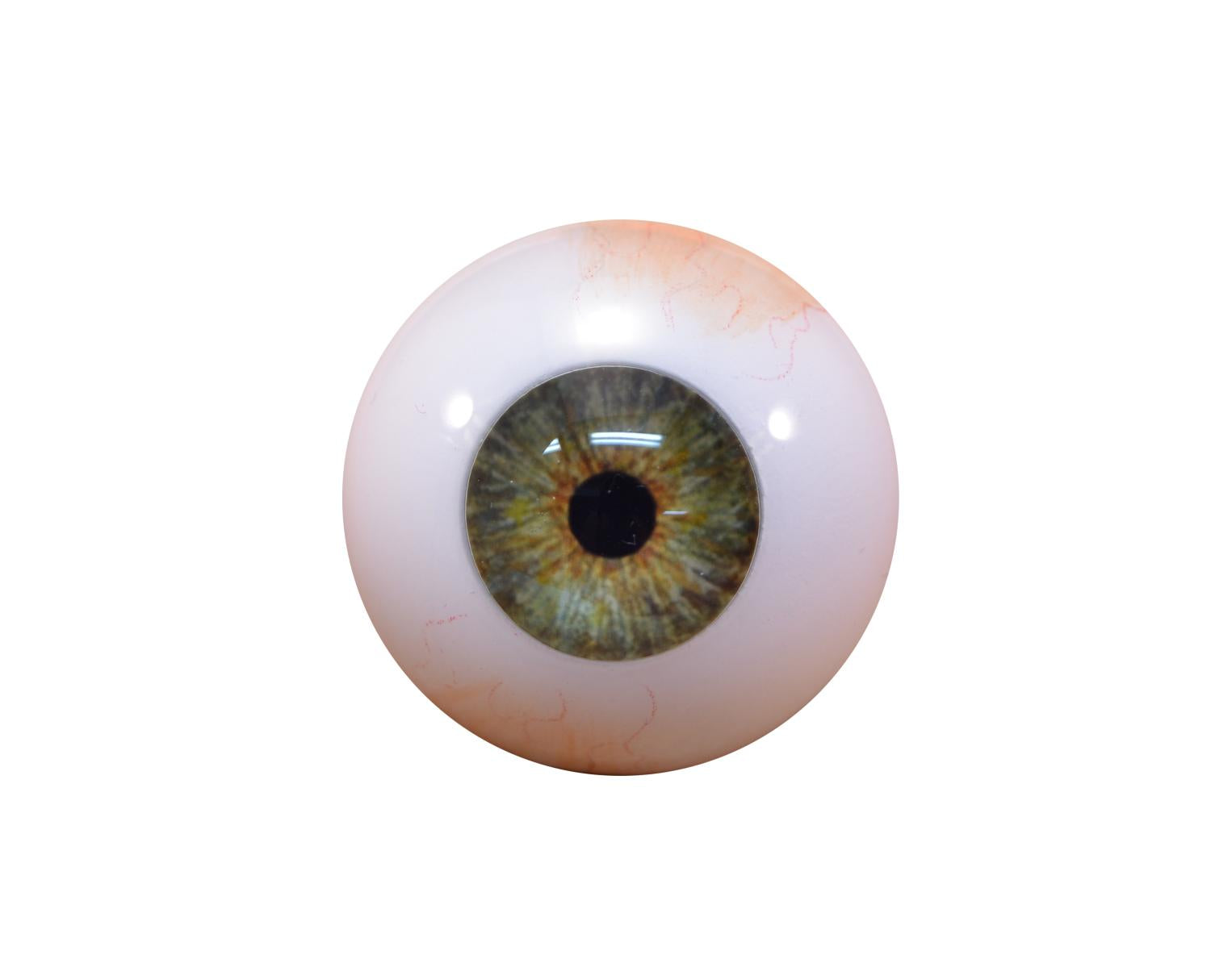 Tech Optics | Eyeball Keychain | Handmade Acrylic Eyeball Keychains – beryl