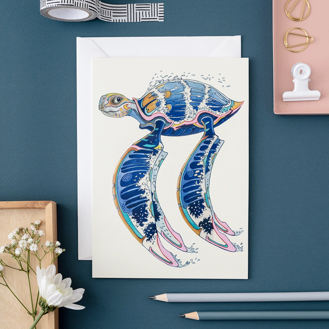 Daniel Mackie Racing Turtle Note Card | Stationary & Gifts ...