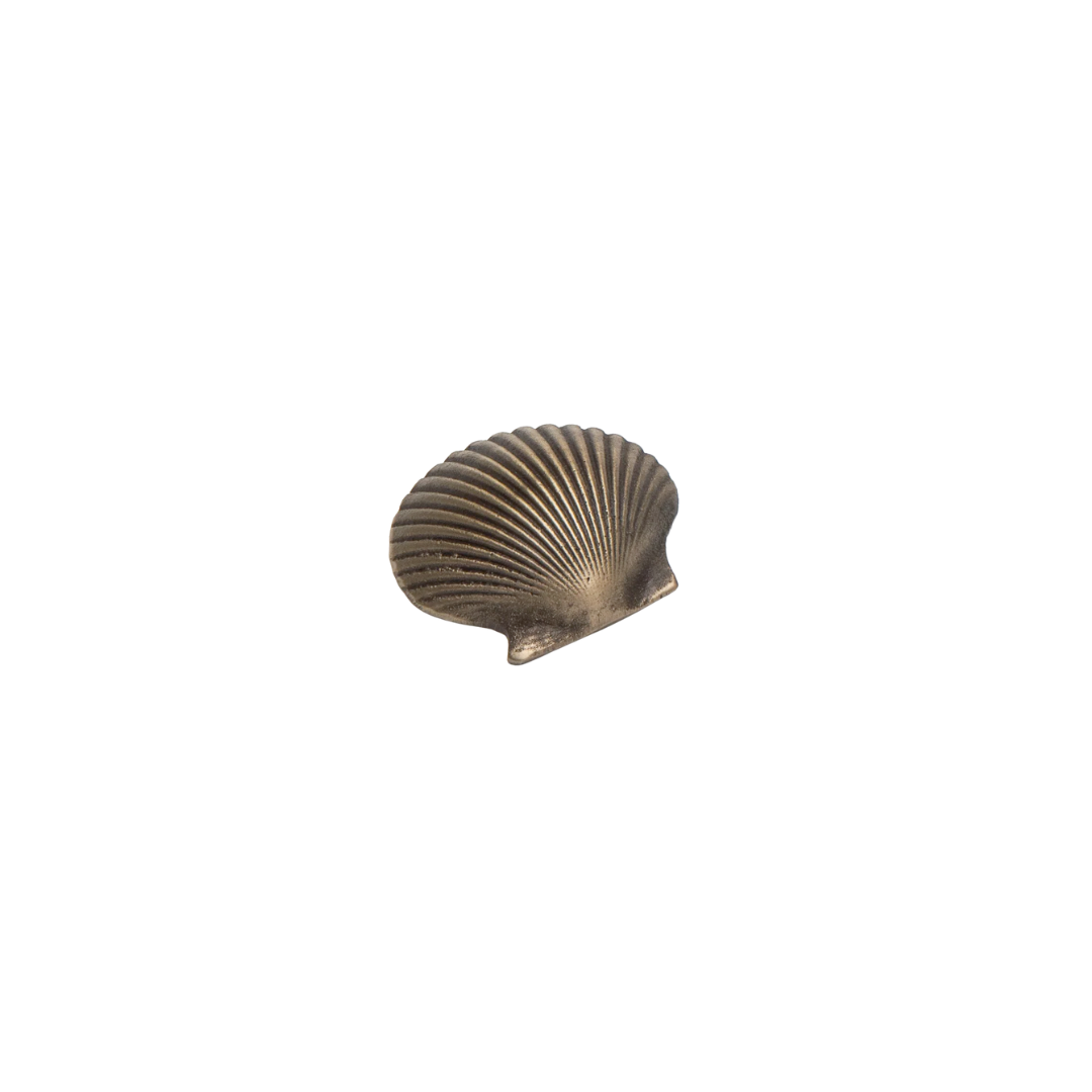 Scott Nelles Scallop Shell | Gifts & Homegoods | Northampton, MA – beryl